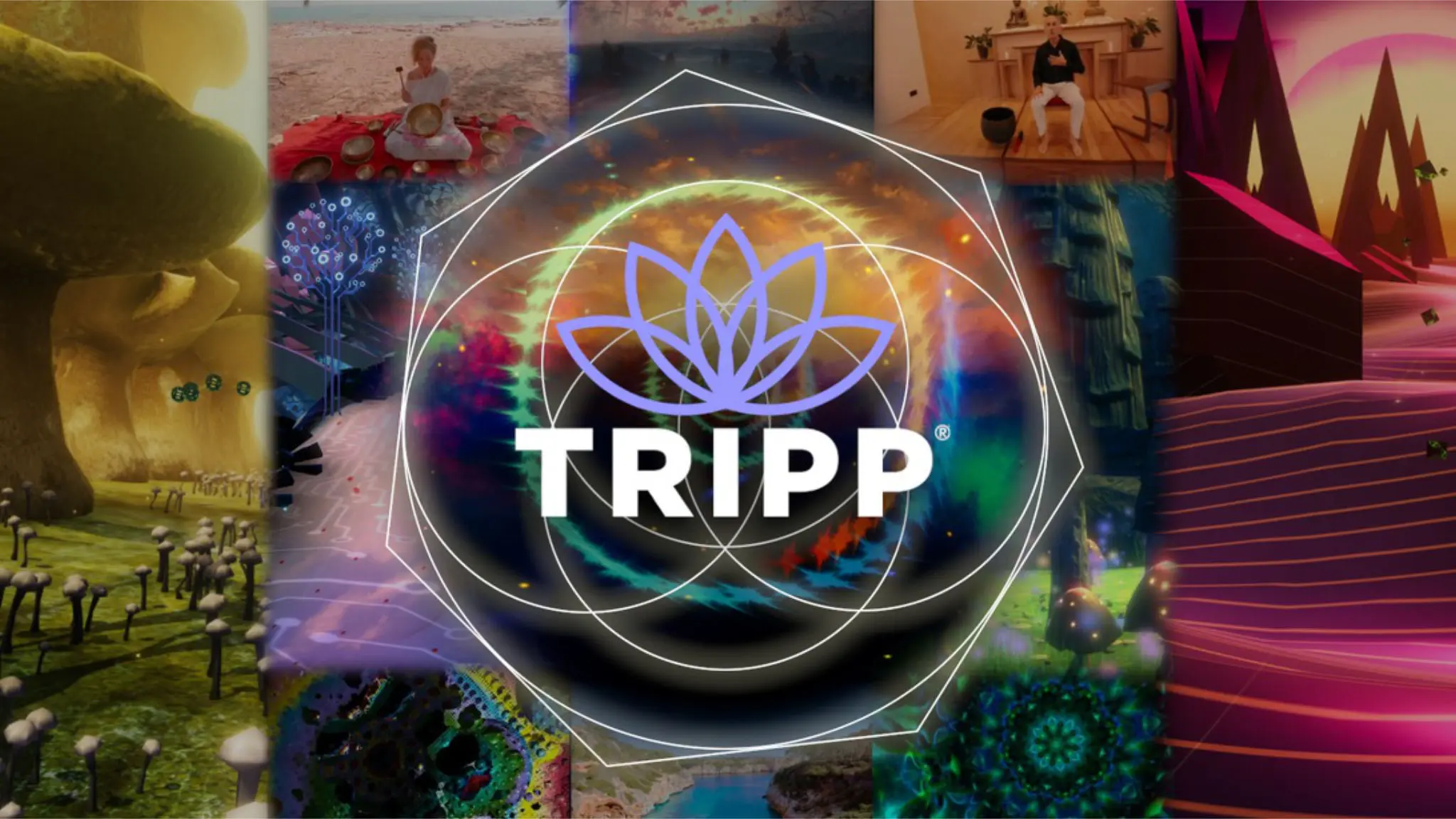 Top game VR mới cho Quest 2: Zero Caliber: Reloaded, Holopoint, Carly ...