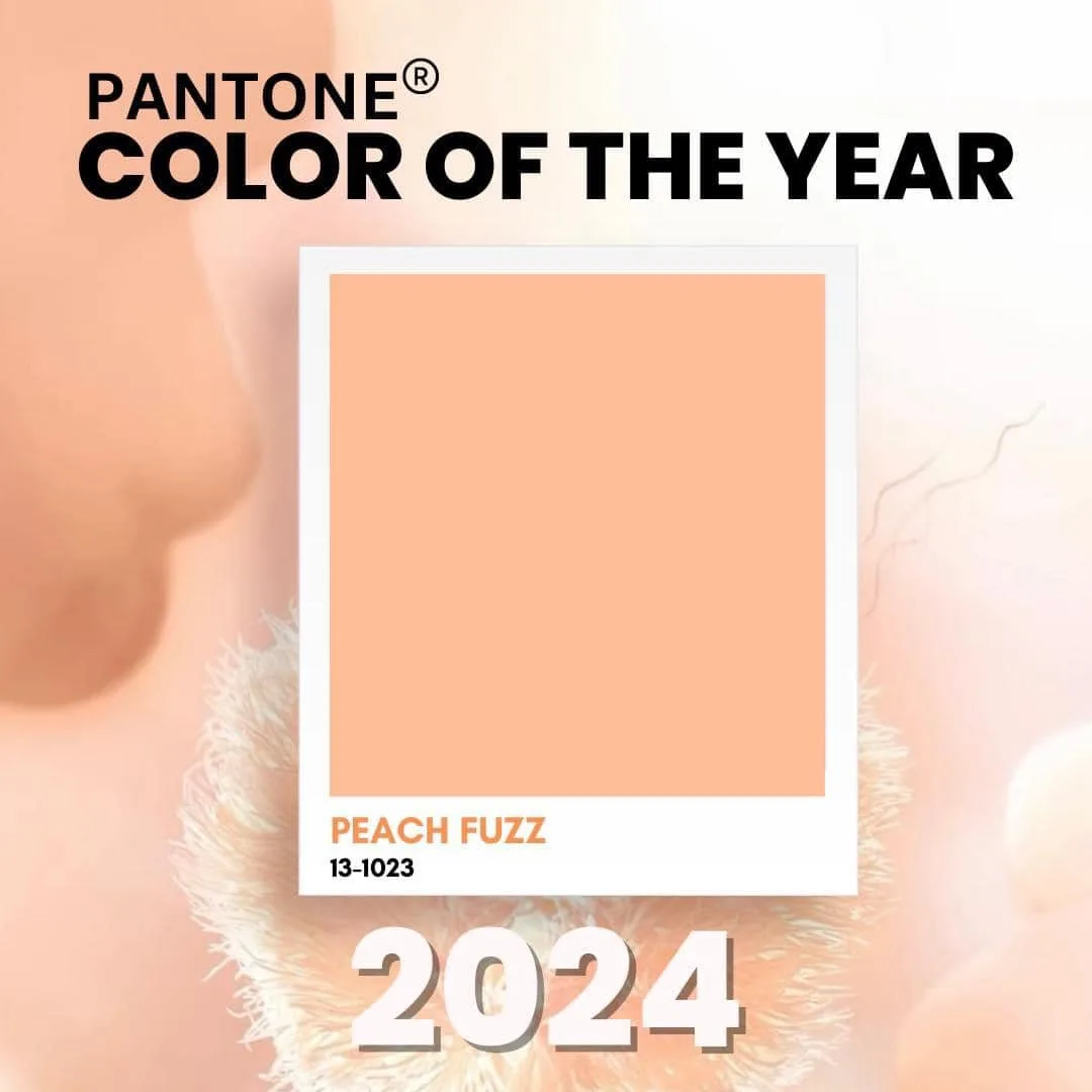 Pantone công bố màu của năm 2024 - Peach Fuzz - ONTOP.vn